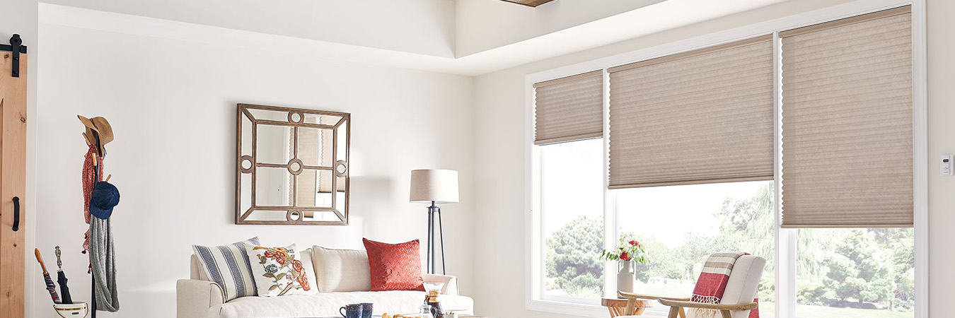 Trendy Living Room Window Treatment Ideas For Raleigh Homes | Sunburst ...